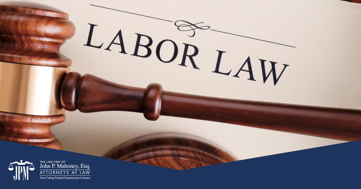 The Role of a Federal Employment Lawyer in the Appeal Process
